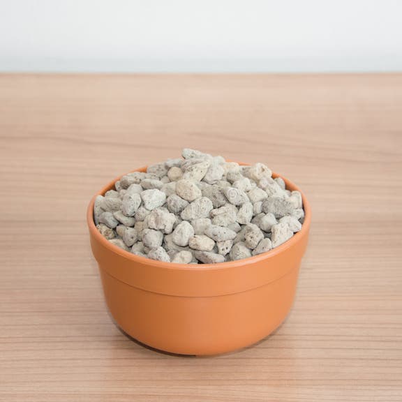 Pumice pebbles in pots stock image. Image of planting - 92794337