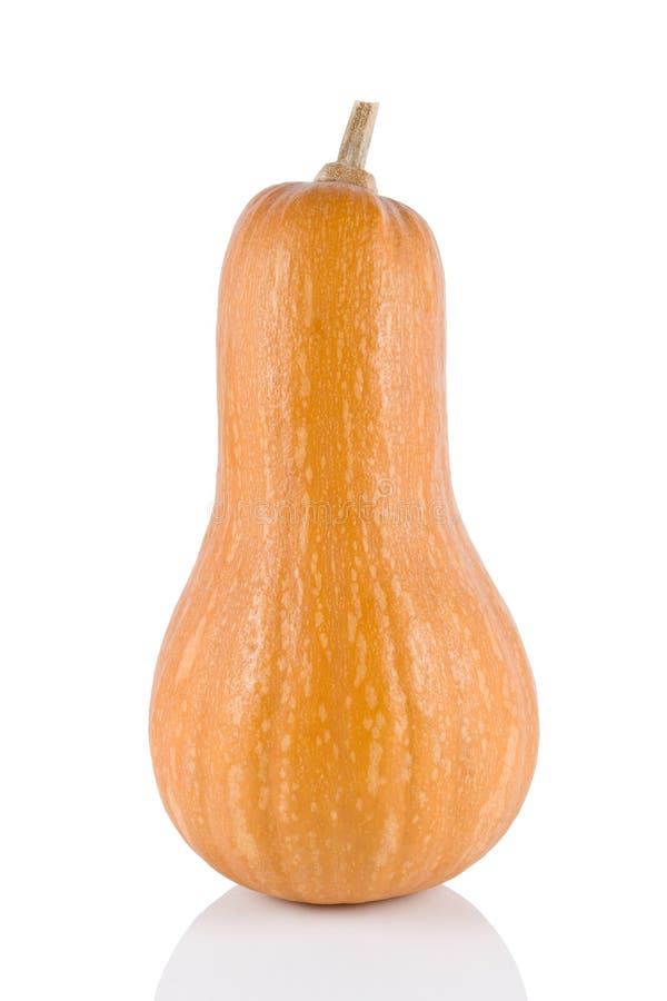 Pumkin Pie stock photo. Image of plate, pumpkin, enjoy - 300596