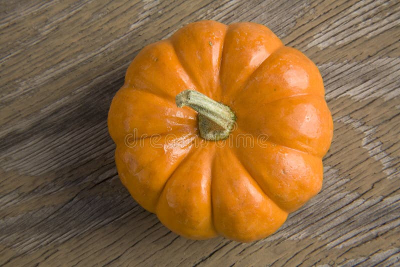 Pumkin stock image. Image of seasonal, natural, halloween - 3343995