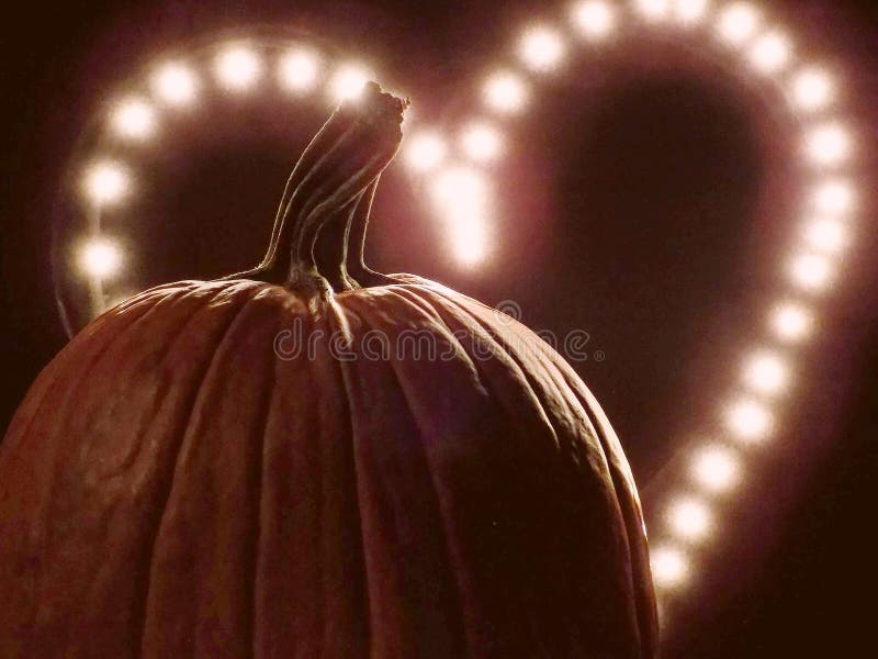 Pumkin heart stock photo. Image of orange, glowing, pumkin - 102332810