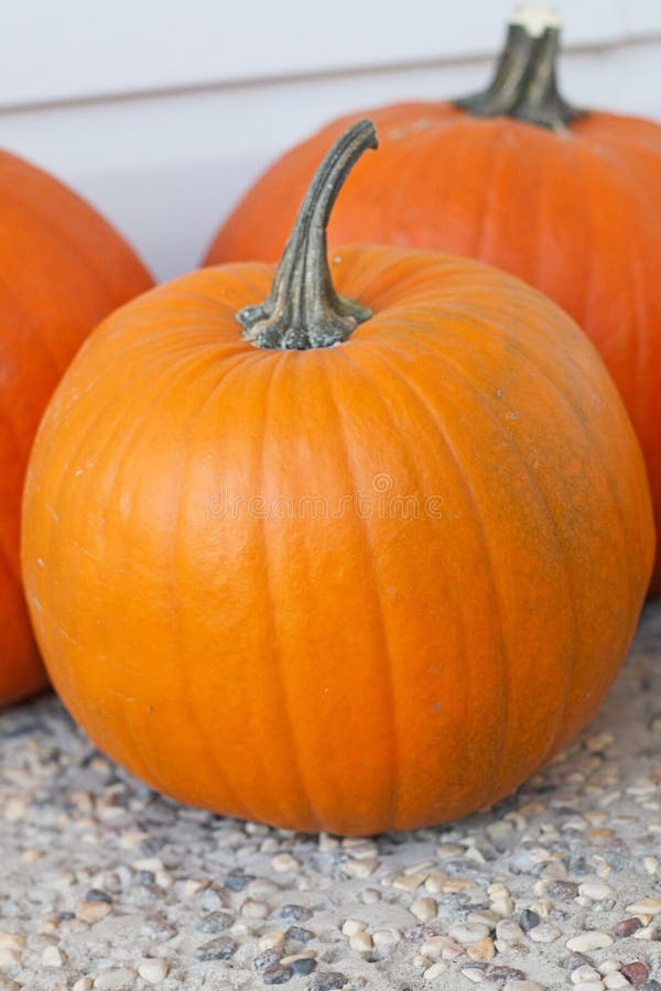 Pumkin stock image. Image of nutrition, diet, orange - 46478489