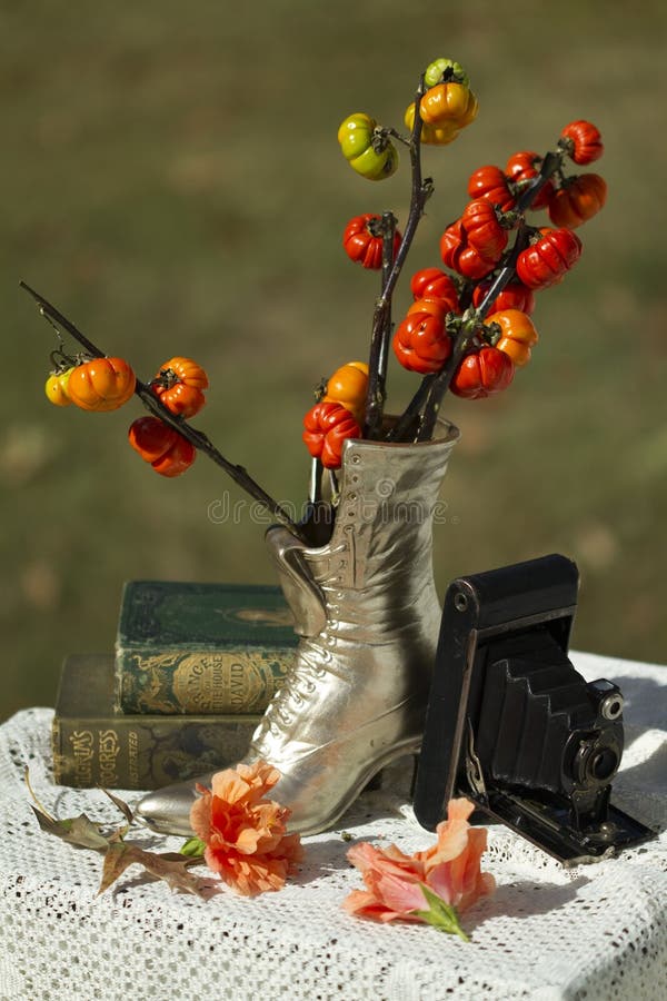 Pumkin Squash & Old Fashioned Still Life Stock Photo - Image of blooms ...