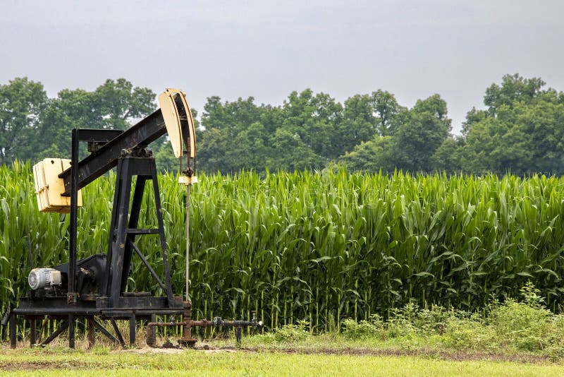 Pump Jack Near Cornfield stock photo. Image of food - 281124496