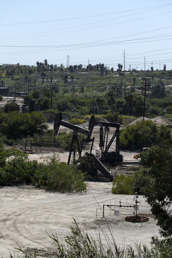Pump Jacks Working in an Oil Field Stock Image - Image of trees ...