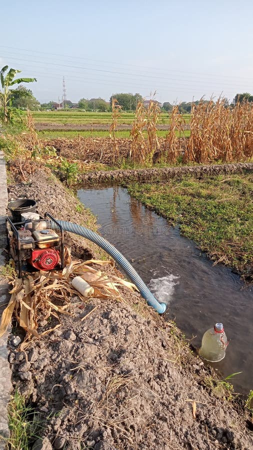 Pump Machine for Irrigation by Sucking Water from a Pipe Well Stock ...