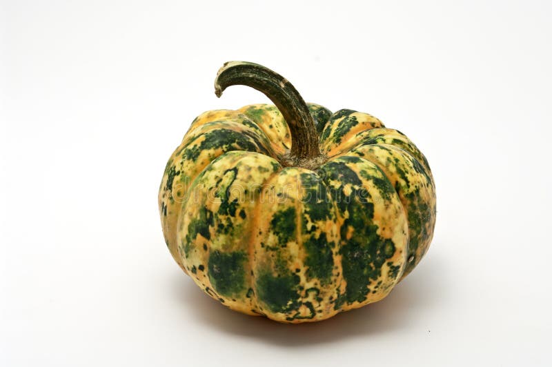 Pumpa arkivfoto. Bild av skräp, växt, november, natur - 11361794