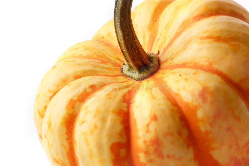 Pumpa fotografering för bildbyråer. Bild av natur, festlighet - 11574703