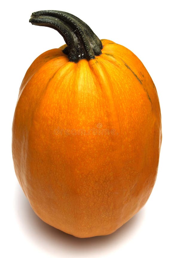 Pumpa fotografering för bildbyråer. Bild av höst, moget - 12826355