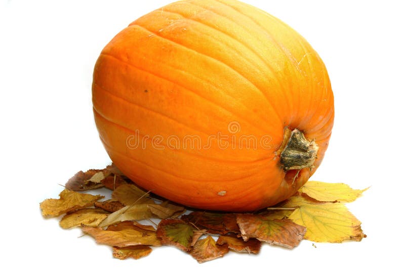 Pumpa arkivfoto. Bild av druva, runt, blad, moget, falla - 16494902