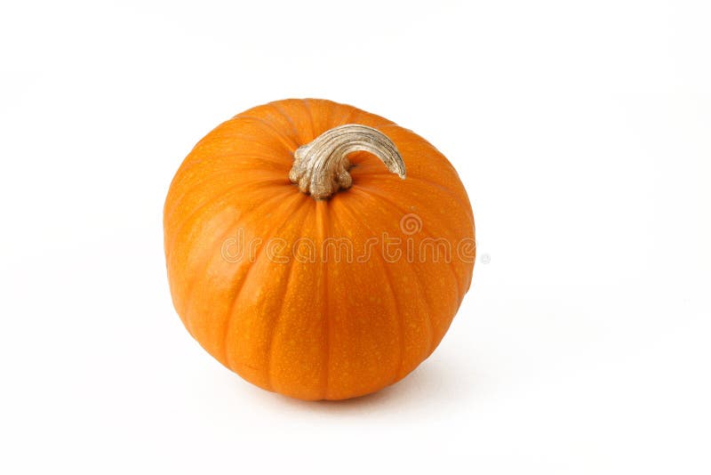 Pumpa arkivfoto. Bild av organiskt, stamma, symbol, producera - 19836950