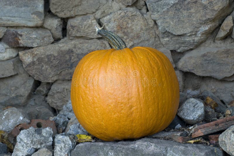 Pumpa arkivfoto. Bild av medicin, livsstil, höst, oktober - 3291316