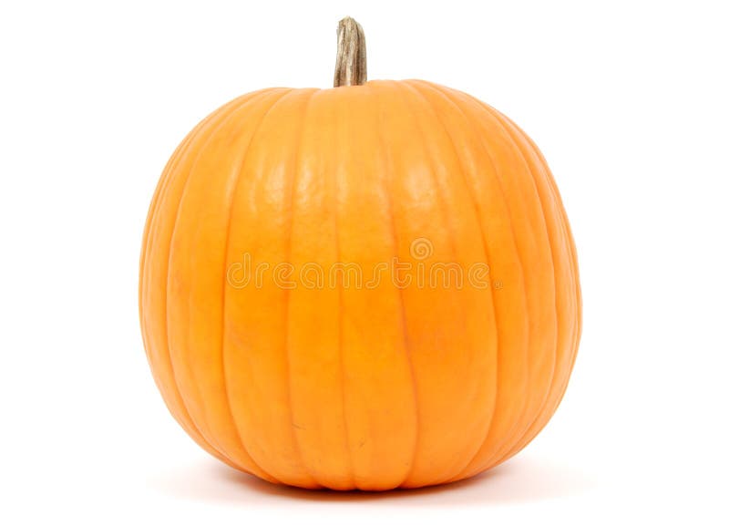 Stor Vit Pumpa arkivfoto. Bild av hylla, bifokal, höst - 34045002