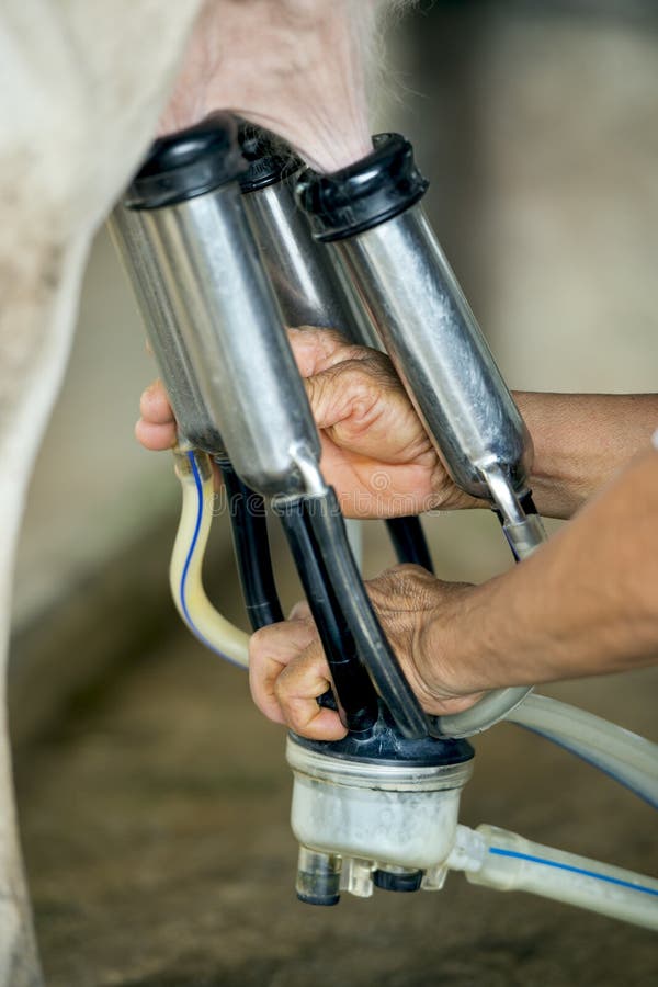 Pumping milk by machine stock photo. Image of person - 90778108