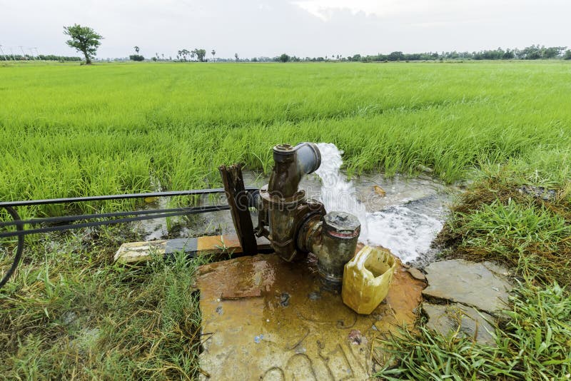 Pumping Water into the Fields Stock Photo - Image of agriculture ...