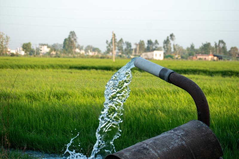 Pumping Water from the Ground To Flow into the Rice Fields Stock Photo ...