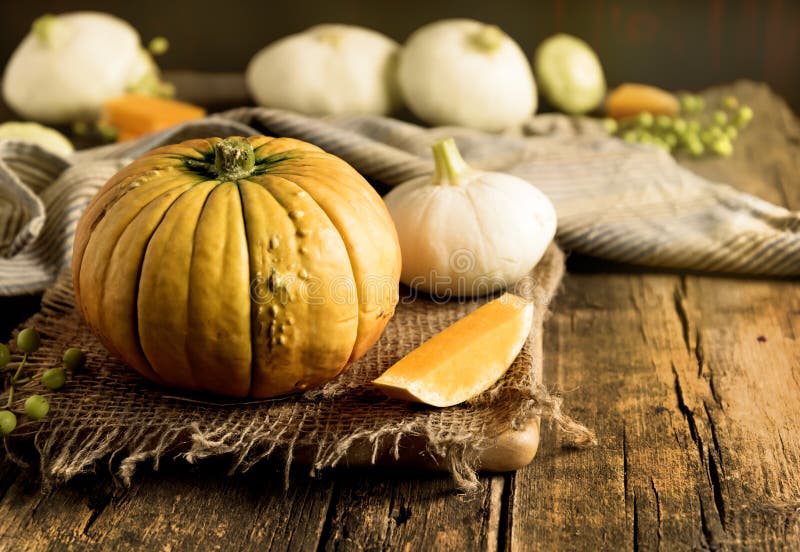 Pumpkim image stock. Image of septembre, octobre, novembre - 75370911