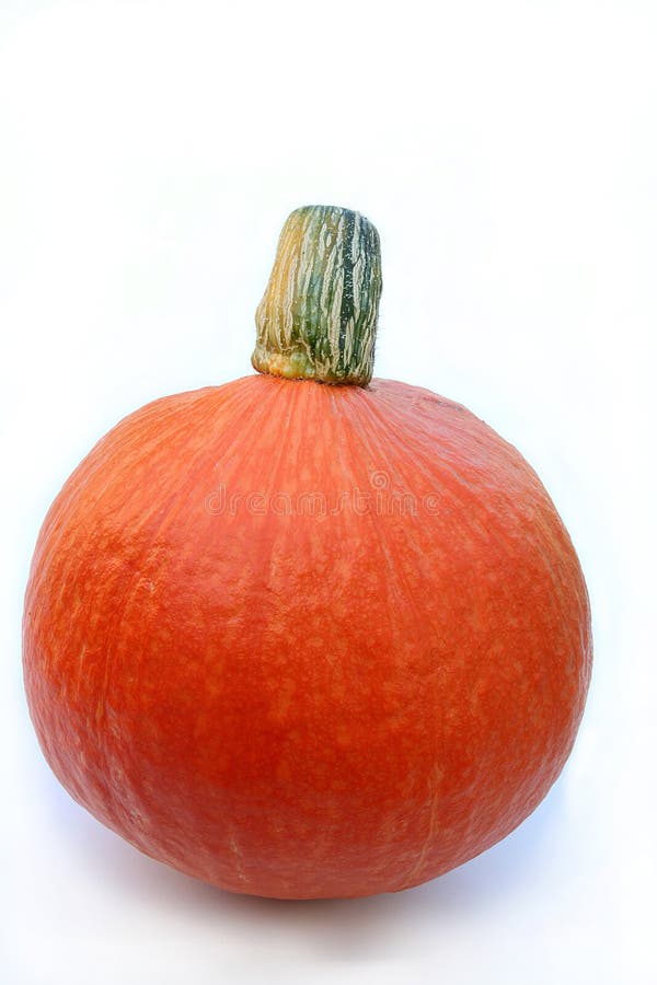 Pumpkin stock image. Image of colour, pumpkins, single - 10670375