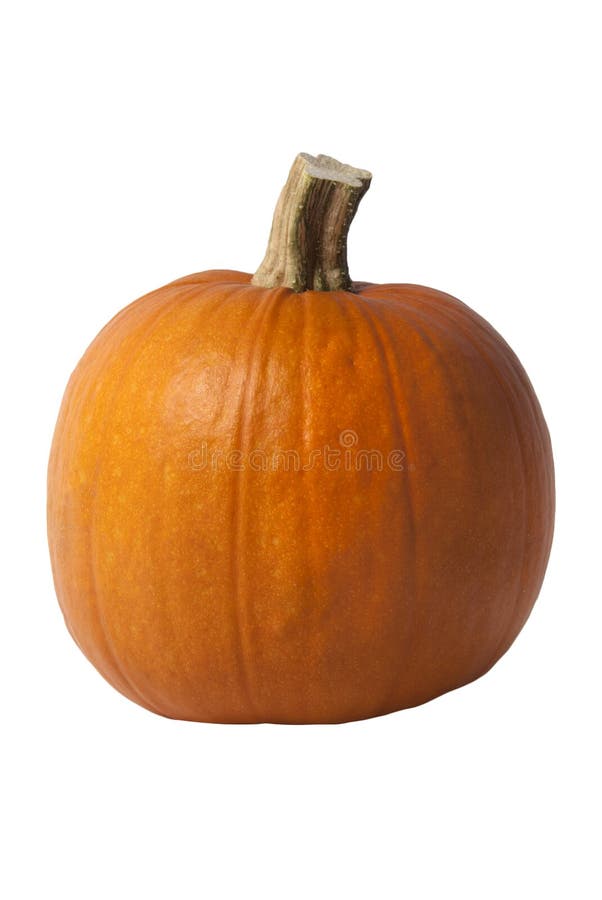 Pumpkin stock photo. Image of ripe, fall, autumn, food - 35211162