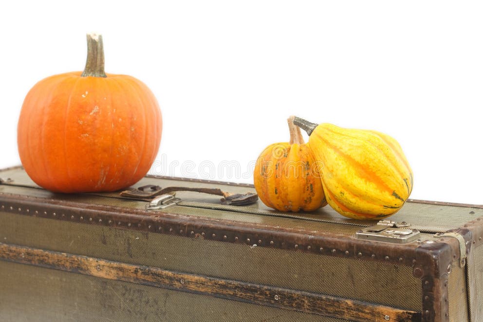 Pumpkin stock image. Image of agriculture, lantern, festive - 21333287