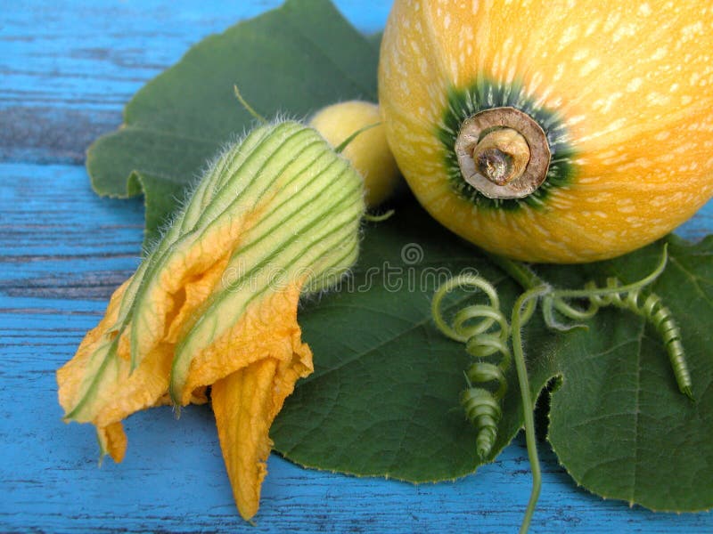 Pumpkin stock image. Image of vegetables, tasty, pumpkins - 215343