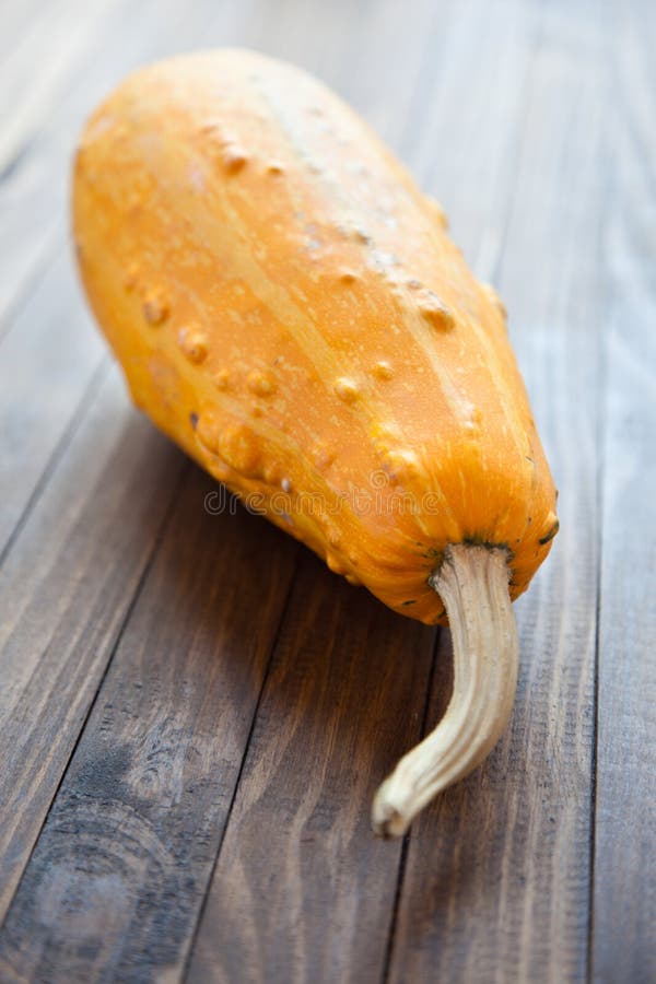 Pumpkin stock photo. Image of squash, october, vegetarian - 22806314