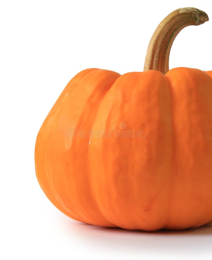 Pumpkin stock image. Image of orange, thanksgiving, halloween - 3300745