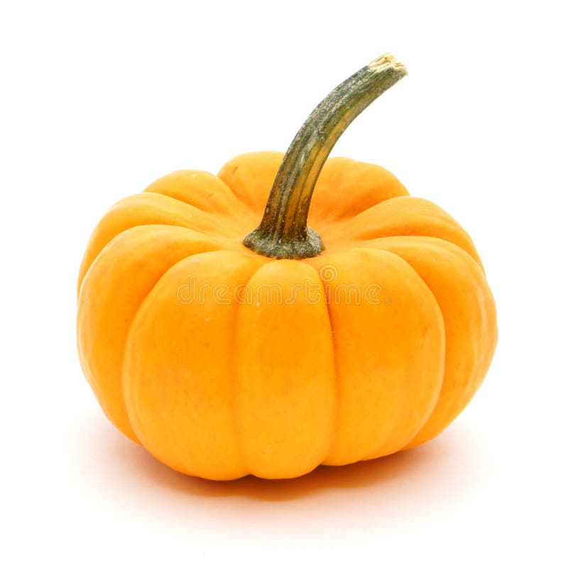 Small Pumpkin stock image. Image of halloween, patch, meal - 1428275