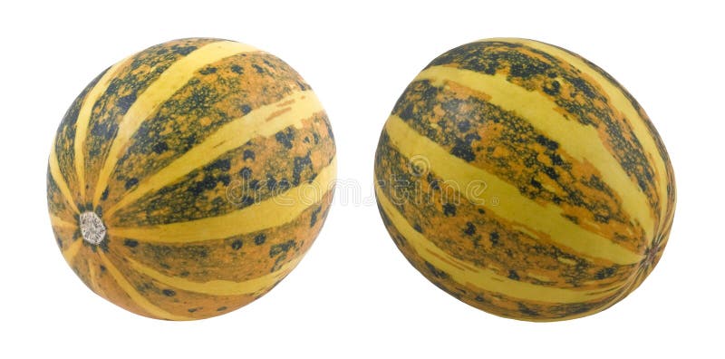 Pumpkin stock photo. Image of decoration, sphere, thanksgiving - 27740336