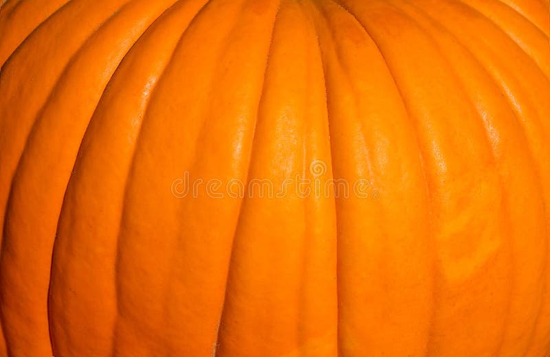 Pumpkin skin texture stock image. Image of harvest, colorful - 11458271