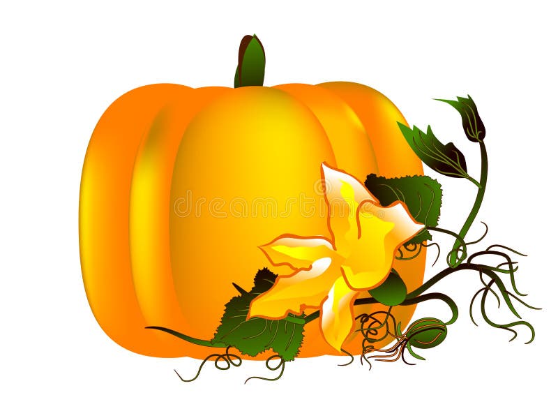 Pumpkin abstract design stock illustration. Illustration of plant ...