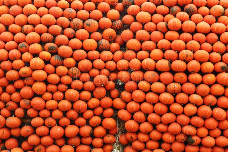 Pumpkin background stock image. Image of colorful, background - 36267677