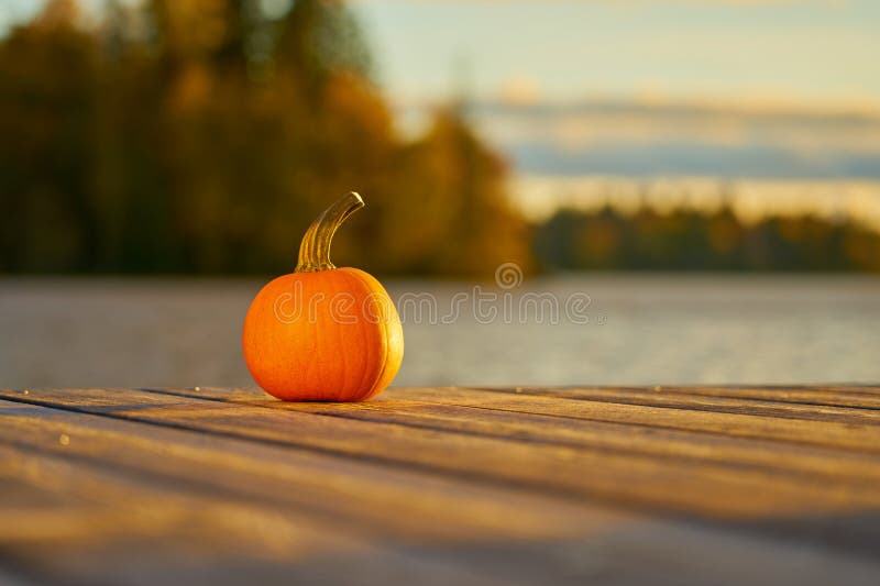 Pumpkin with Blurred Sunset on the Background.. Halloween Mood. Stock ...