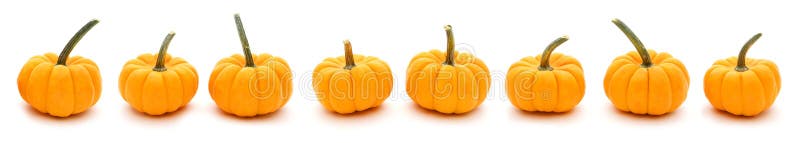 Pumpkin border stock image. Image of bright, horizontal - 27062777