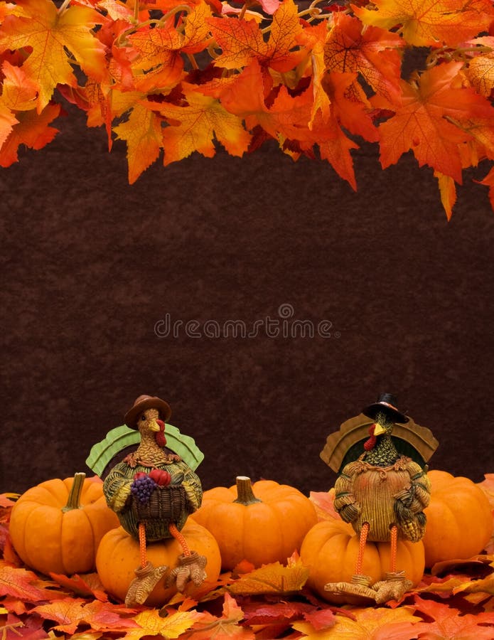 Pumpkin Border stock image. Image of garden, orange, border - 6680501