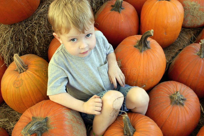 Small Boy Finds Large Pumpkin Stock Image - Image of child, brown: 6660795