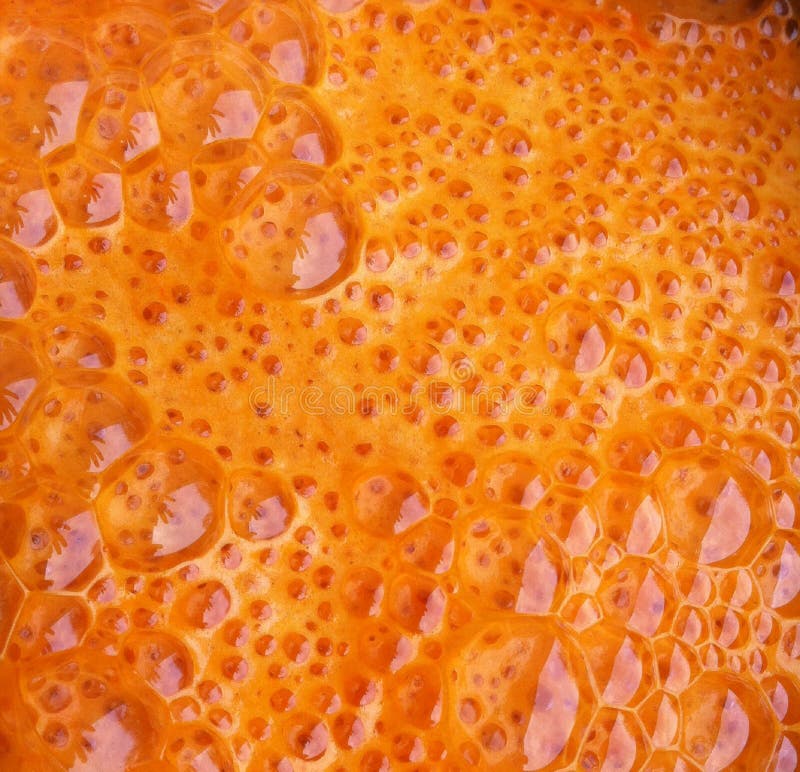 Pumpkin bubbles stock photo. Image of natural, orange - 81769414