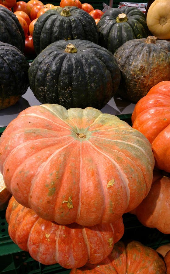 Pumpkin for candy stock photo. Image of green, candy - 176406522