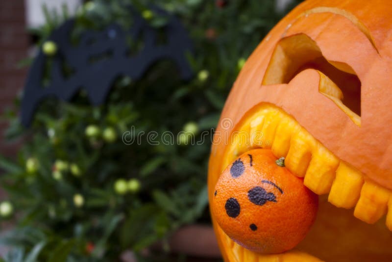 Halloween decorations stock photo. Image of carved, autumn - 259532942