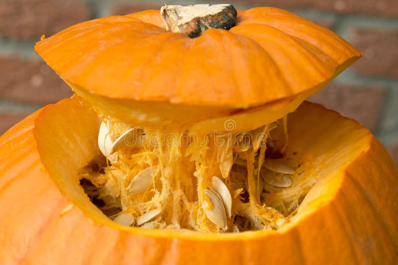 Halloween Pumkin stock image. Image of clipping, danger - 3782985