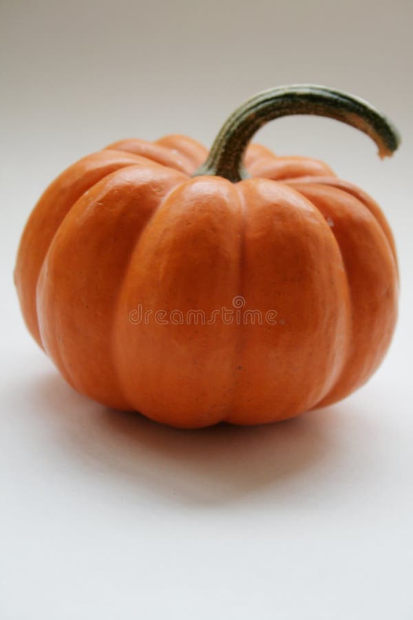 Pumpkin Close Up stock photo. Image of halloween, food - 5546458
