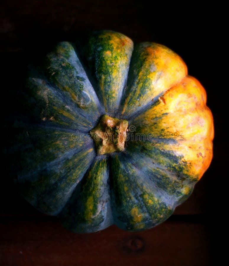 A Pumpkin Close-up, Texture , Shadow, Macro Photography Stock Image ...
