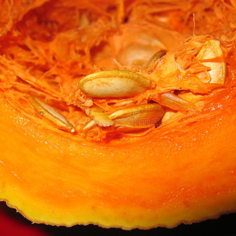 Pumpkin closeup stock photo. Image of green, autumn - 107991490