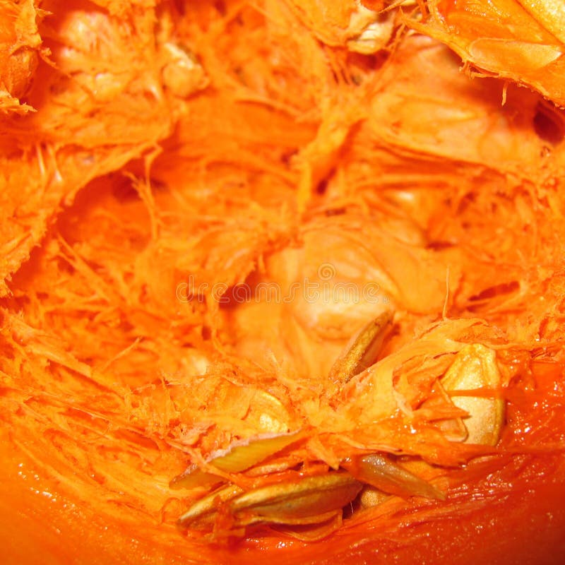Pumpkin closeup stock image. Image of harvest, orange - 107992139