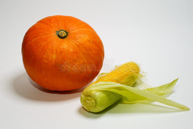 Pumpkin and corn stock image. Image of vegetables, foods - 101873545