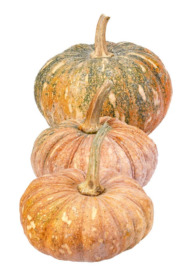 Pumpkin - Cucurbita Moschata Decne. - Isolated Stock Image - Image of ...