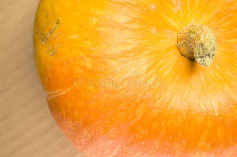 Pumpkin, cucurbita pepo stock image. Image of pepo, kitchen - 47143241