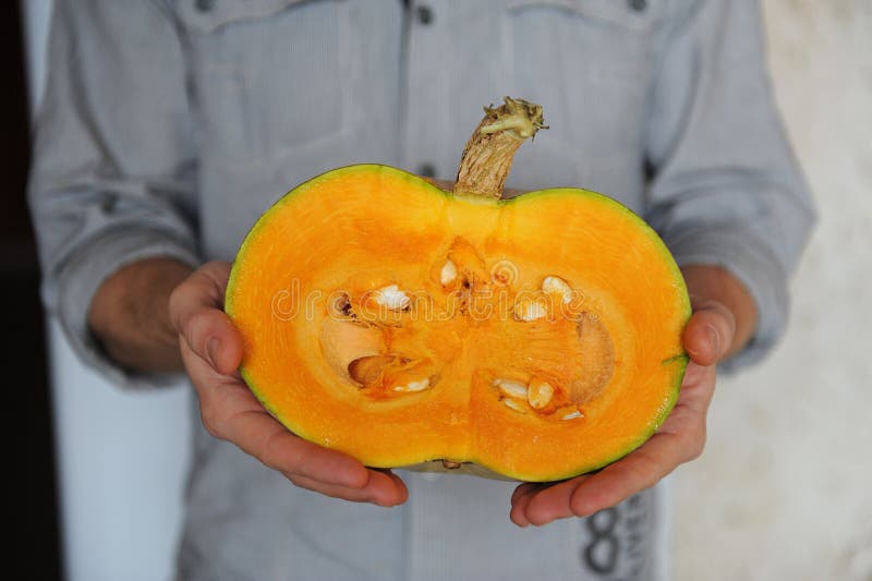 Pumpkin in a Cut in Hands Close Up Stock Photo - Image of bodypart ...