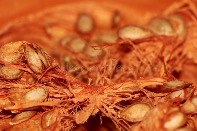 Pumpkin Cut Open with Seeds. Stock Photo - Image of fleshy, gourd: 46400812