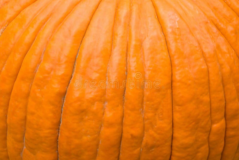 Pumpkin skin texture stock image. Image of harvest, colorful - 11458271