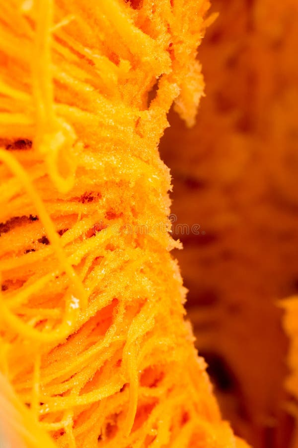 292 Pumpkin Inside Texture Stock Photos - Free & Royalty-Free Stock ...